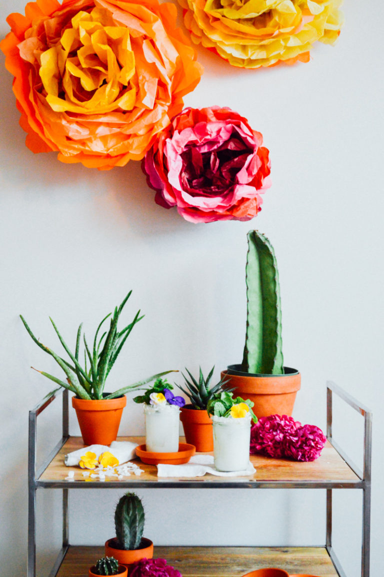 Easy Cinco de Mayo Shindig: Any Excuse to Party / By Gabriella