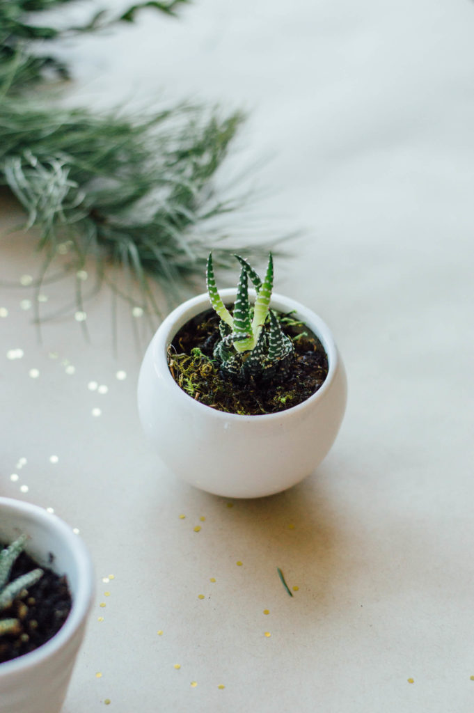 Decorate Your Small Space with Fresh Greenery | By Gabriella