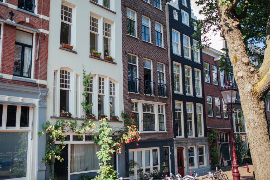 Flowers of Amsterdam (and lots of greenery, too!) | By Gabriella