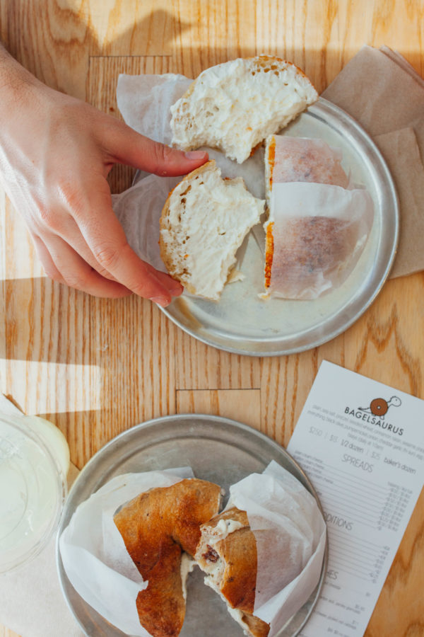 Porter Square Biking Guide for your Trip to Cambridge, MA | By Gabriella